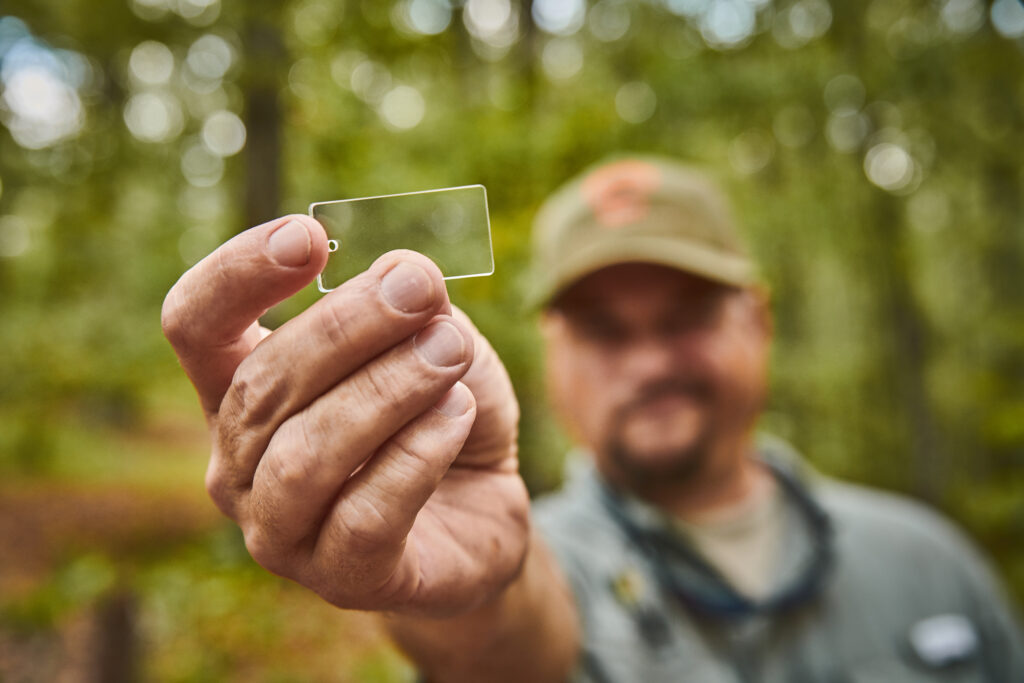 What Can Timber Do For You? - Strong Lands