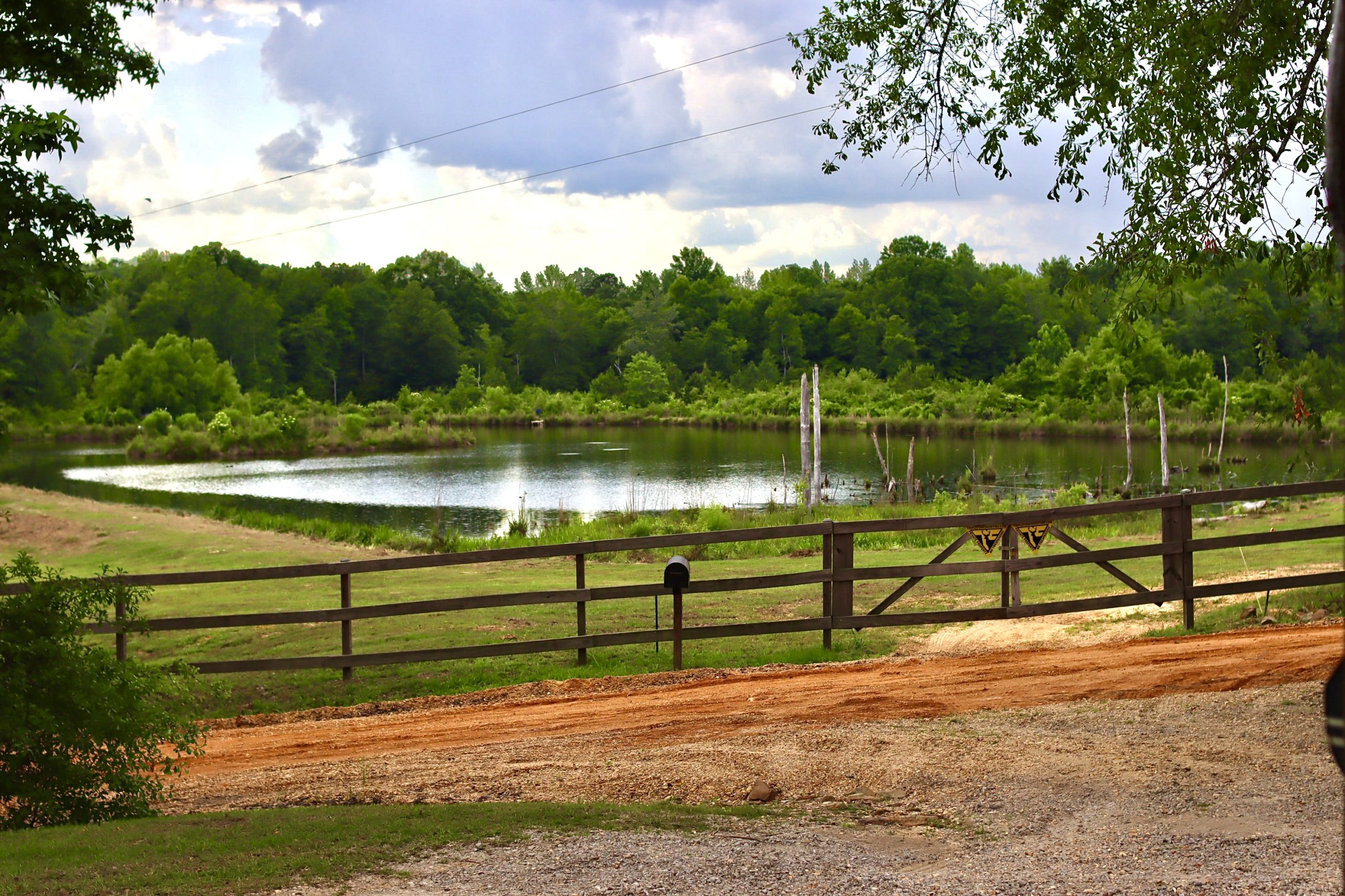 Triple Forks - Strong Lands