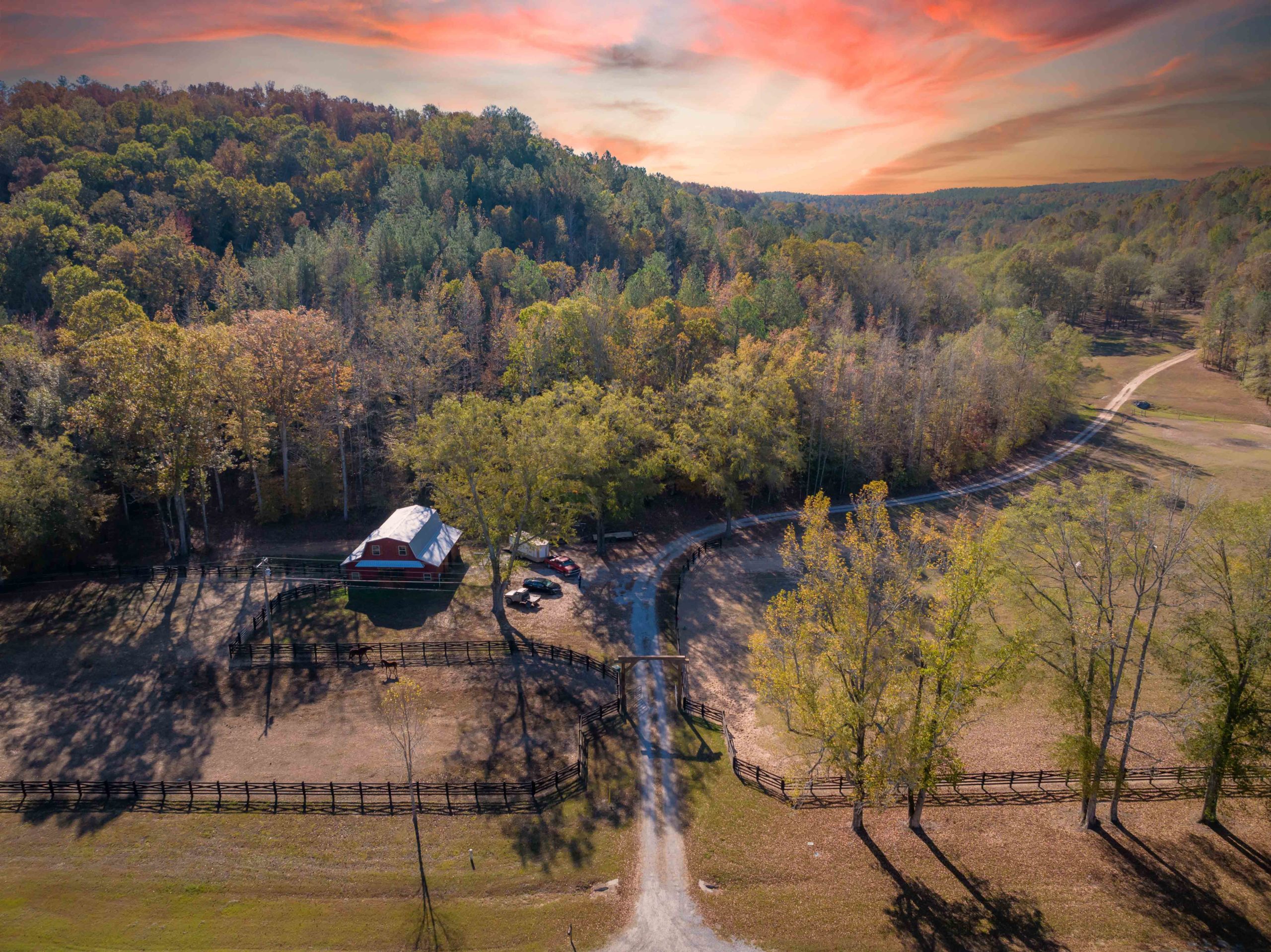 Saddle Creek Farm - Strong Lands
